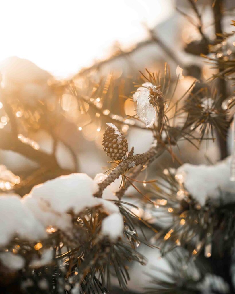 Street Scenes: Pickering winter photo walk! - Damion Lackna Photos